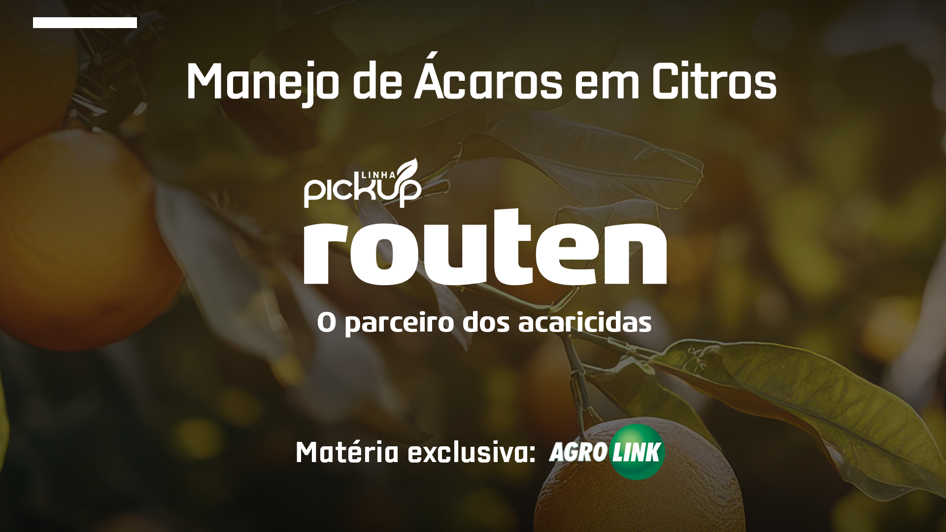 Manejo de ácaros em citros: inovação que faz a diferença no campo ...
